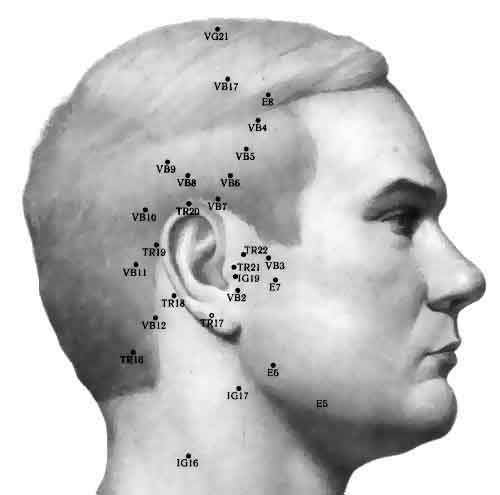 Atlas head side wiev