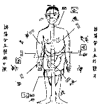 METHODS OF LOCATING ACUPOINTS