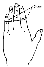 METHODS OF LOCATING ACUPOINTS