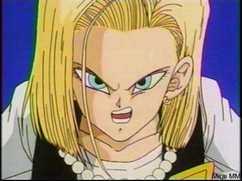 Welcome to one of the best Android 18 Shrines out there on the Net!