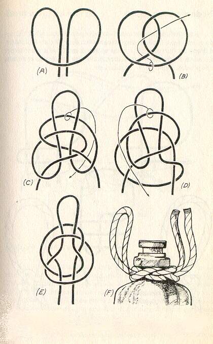 nodipes