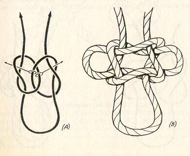 nodipes