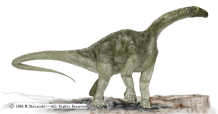 Loncosaurus-Mamenchisaurus