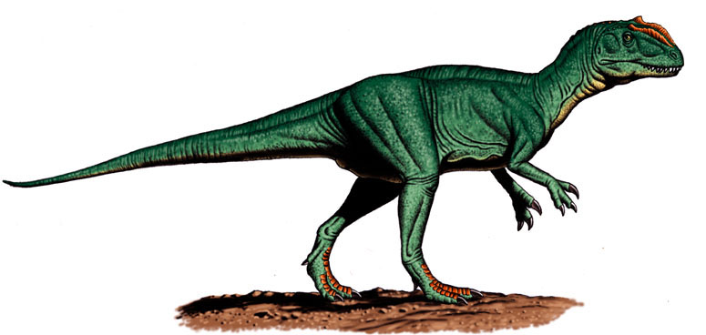 Loncosaurus-Mamenchisaurus