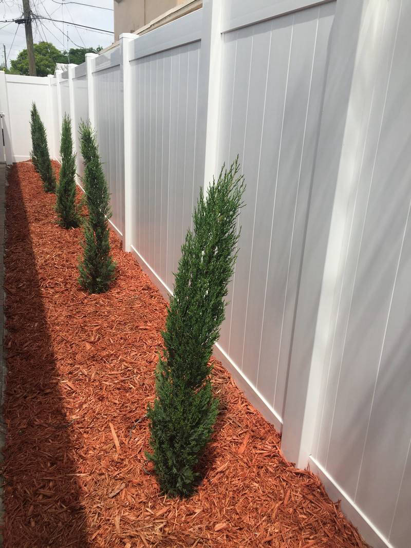 Ariel Fences