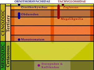 CRETÁCEO mamíferos