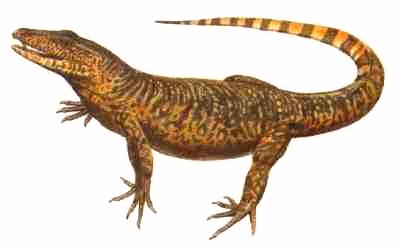 Varanosaurus