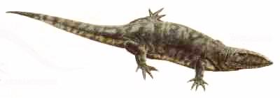 Varanosaurus