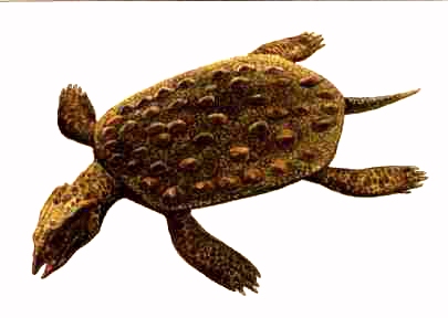 Reptilia - The ZT2 Round Table