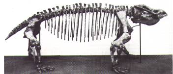 PERMIANO répteis mamaliformes; terapsídeos 2