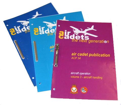 Welcome to the website of 1384 Squadron Air Training Corps