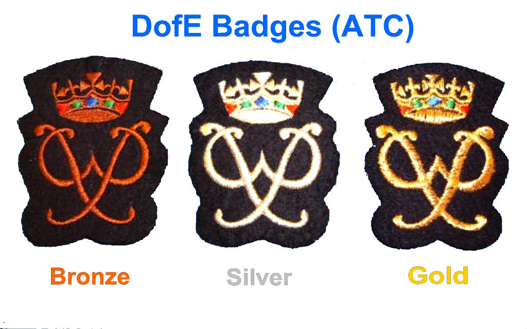 Welcome to the website of 1384 Squadron Air Training Corps