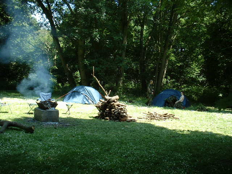 Welcome to the website of 1384 Squadron Air Training Corps