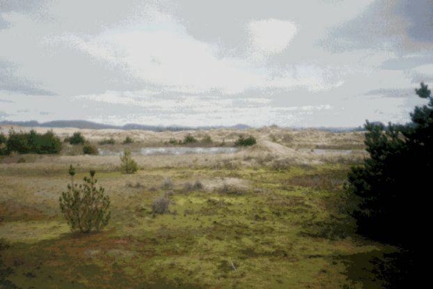 Geology Field Trip Report -- Dunes (Hunt for the Yardang)