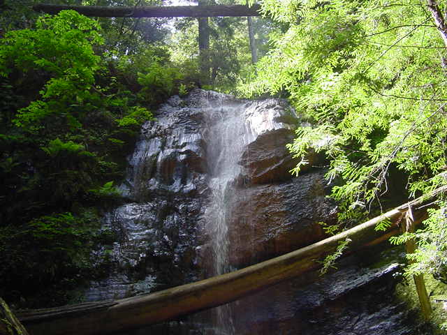Berry Creek Falls Loop Hike | May 4, 2002
