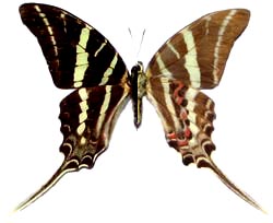 New Page 1 [www.geocities.ws]