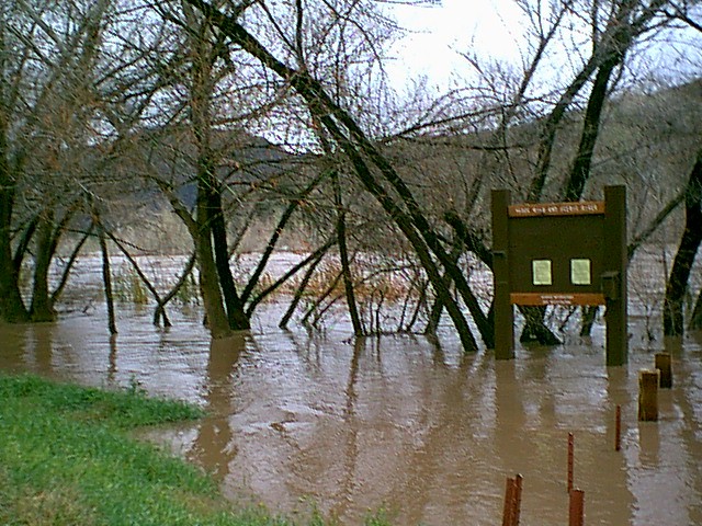 Spring 2003 Flood Image - springflood015.jpg