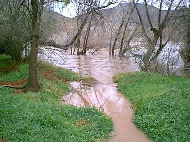 Spring 2003 Flood Image - springflood016.jpg