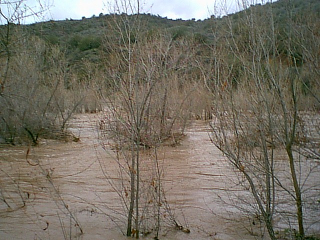 Spring 2003 Flood Image - springflood017.jpg