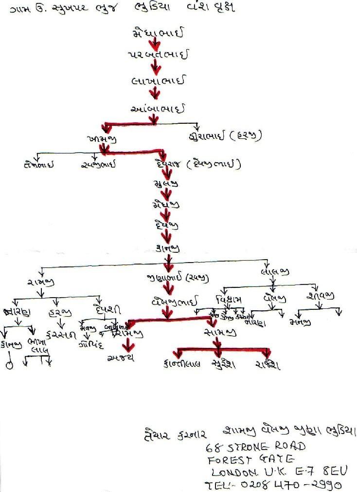 Bhudia of Bhuvad Generations