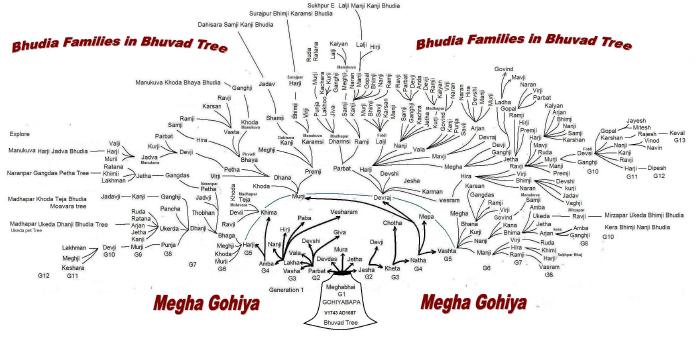 Bhudia of Bhuvad Generations