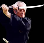 What is Budo Taijutsu?