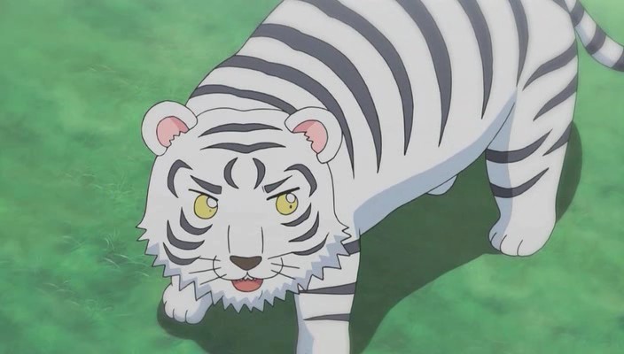Tama