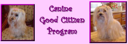 Canine Good Citizen Program