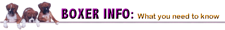 Boxer Info: What you need to know - Home
