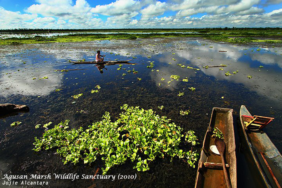 Bunawan-Agusan Marsh Wildlife Sanctuary