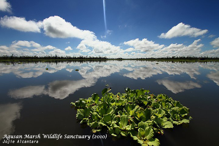 Bunawan-Agusan Marsh Wildlife Sanctuary