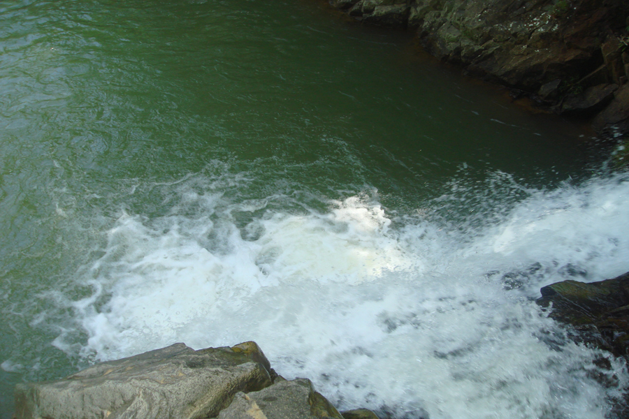 Bunawan-Agusan Marsh Wildlife Sanctuary