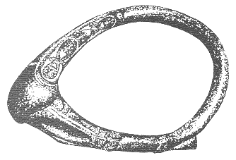 VOCABULAIO TAINO DE PUERTO RICO