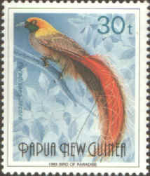 Goldie's Bird of Paradise