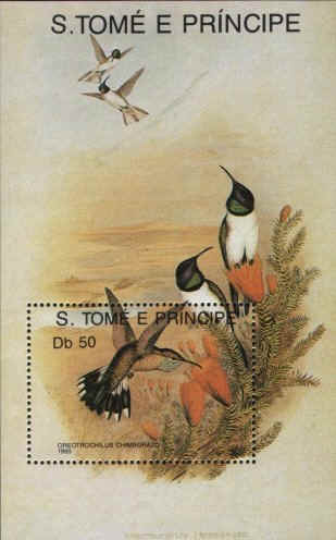 Hummingbirds Want-list