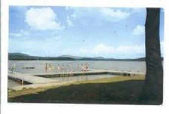 index [www.geocities.ws]