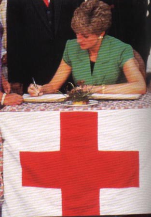 Princess Diana's Charities