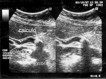 Untitled Document [www.geocities.ws]