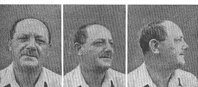 Alpine/Alpinoid /Alpinid Examples - Page 10