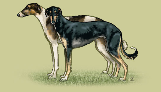 index [www.geocities.ws]