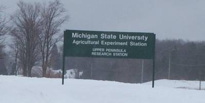 The Chatham, Michigan Photo Album