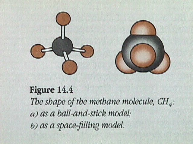 chemnorth's Home Page