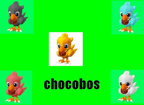 Chocobo Pics