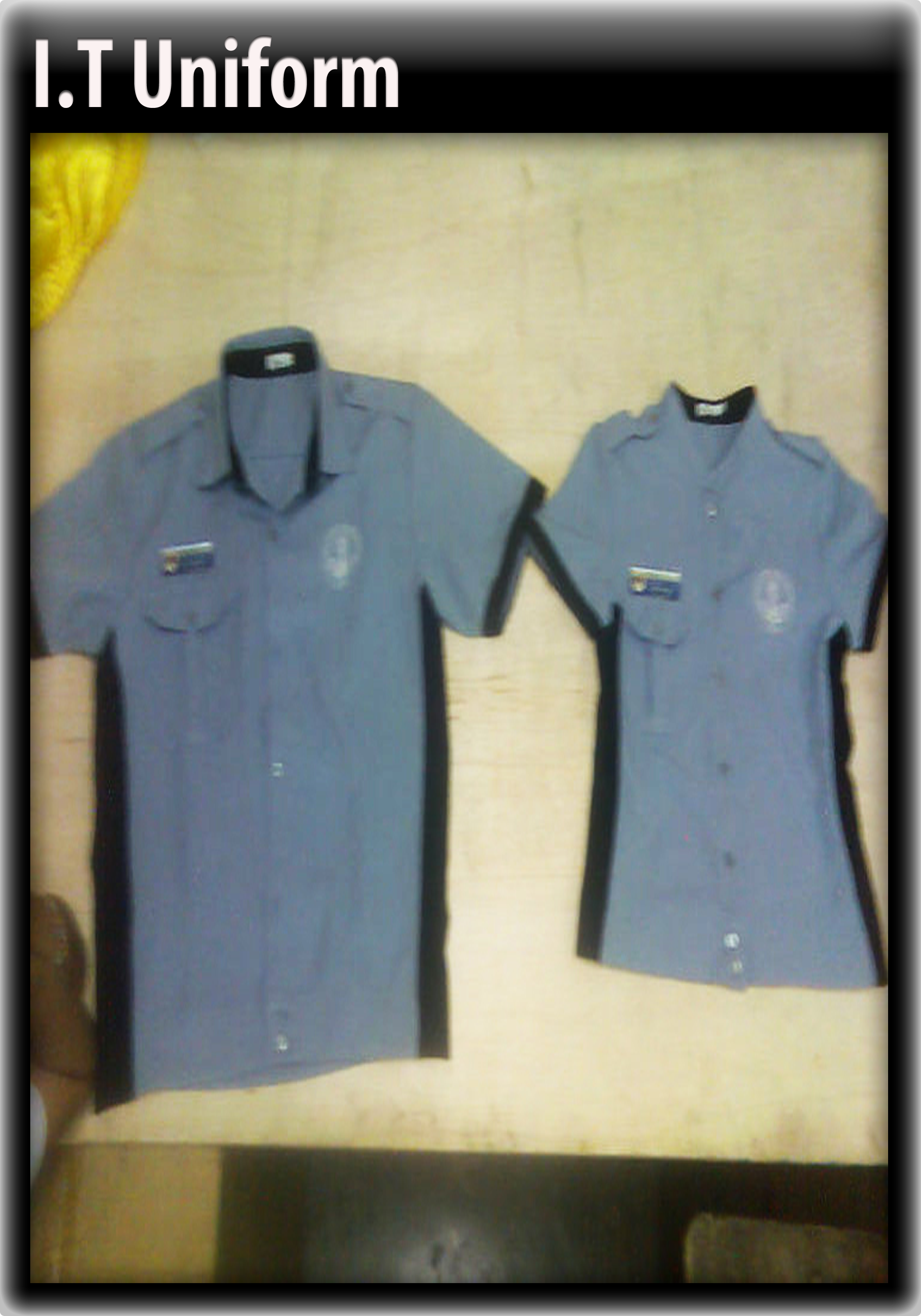 In 2001, Ordinance SP – 1030 created a charter for the establishment of ...