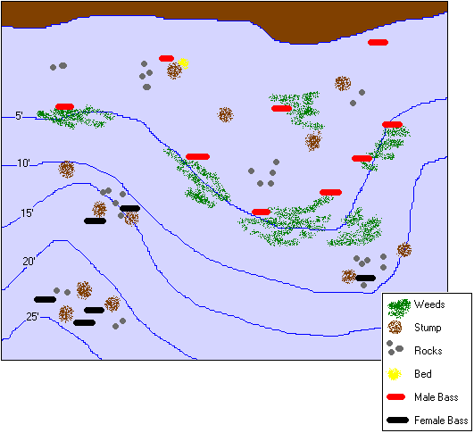 The Spawn Cycle of Largemouth Bass (Northern Strain)