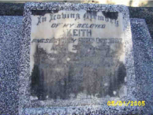 Extended Family Web Site