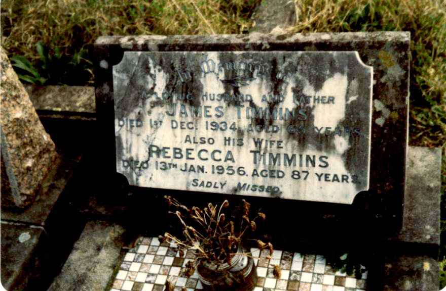 Headstones- Timmins Family
