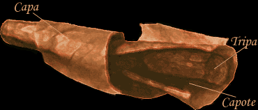 clasificación del tabaco:estructura y partes del cigarro