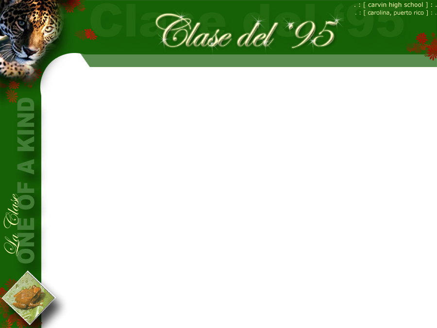 Clase del 1995 - Carvin High School