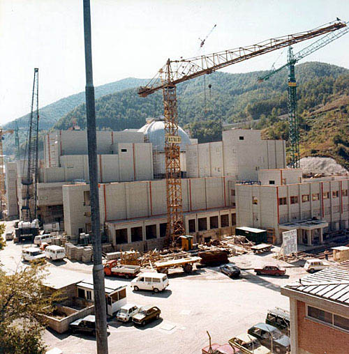 The Italian Nuclear Test Fast Breeder Reactor PEC